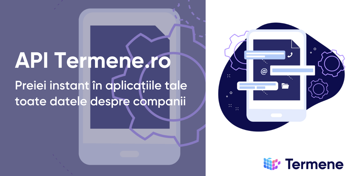 Integrare API - Acces instant la toate informațiile despre companii